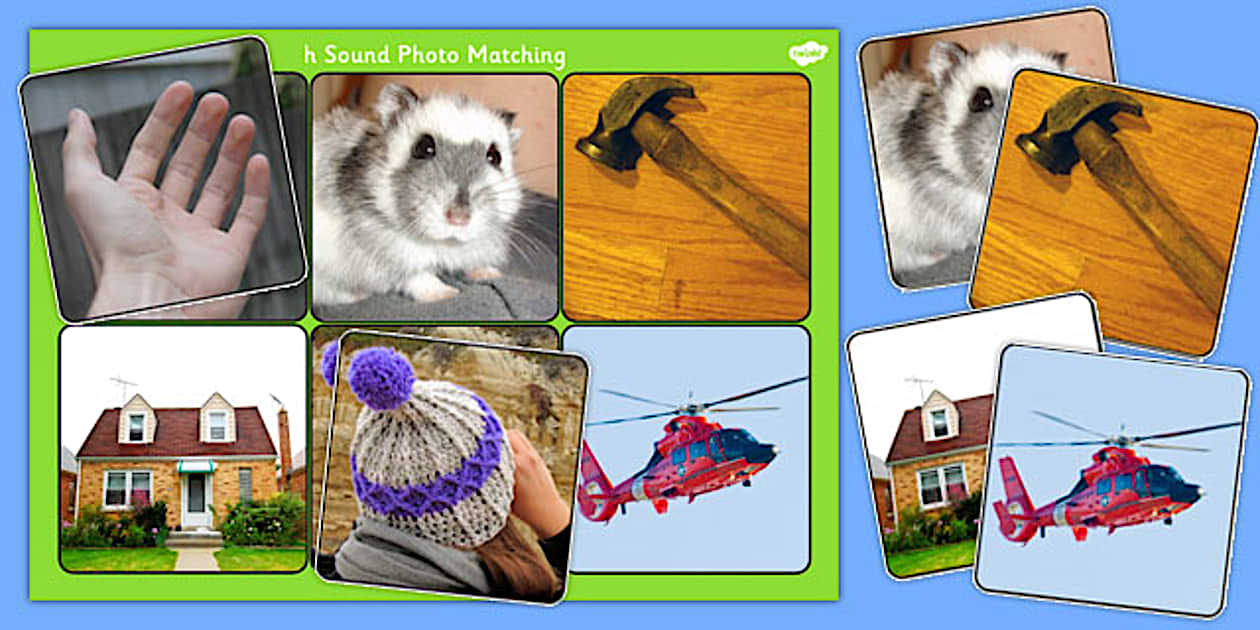 Initial h Sound Photo Matching Board and Cards - Twinkl