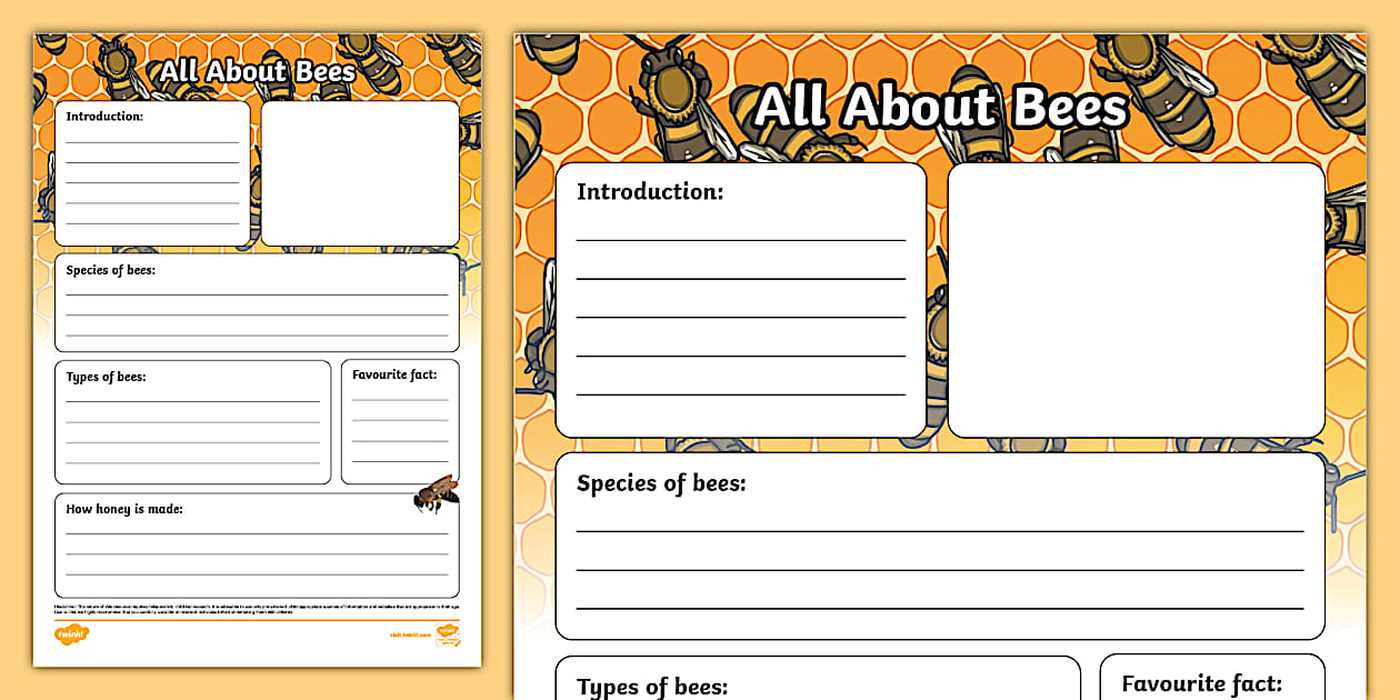 KS1 All About Bees Non-Chronological Report Template