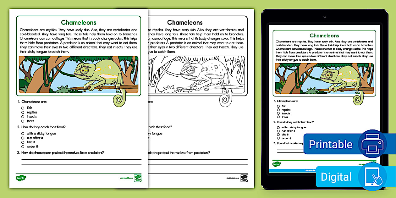 First Grade Chameleon Reading Passage Comprehension Worksheet