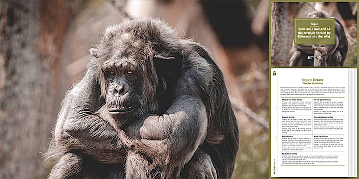 Are Zoos Cruel? Debate Pack (Teacher-Made) - Twinkl