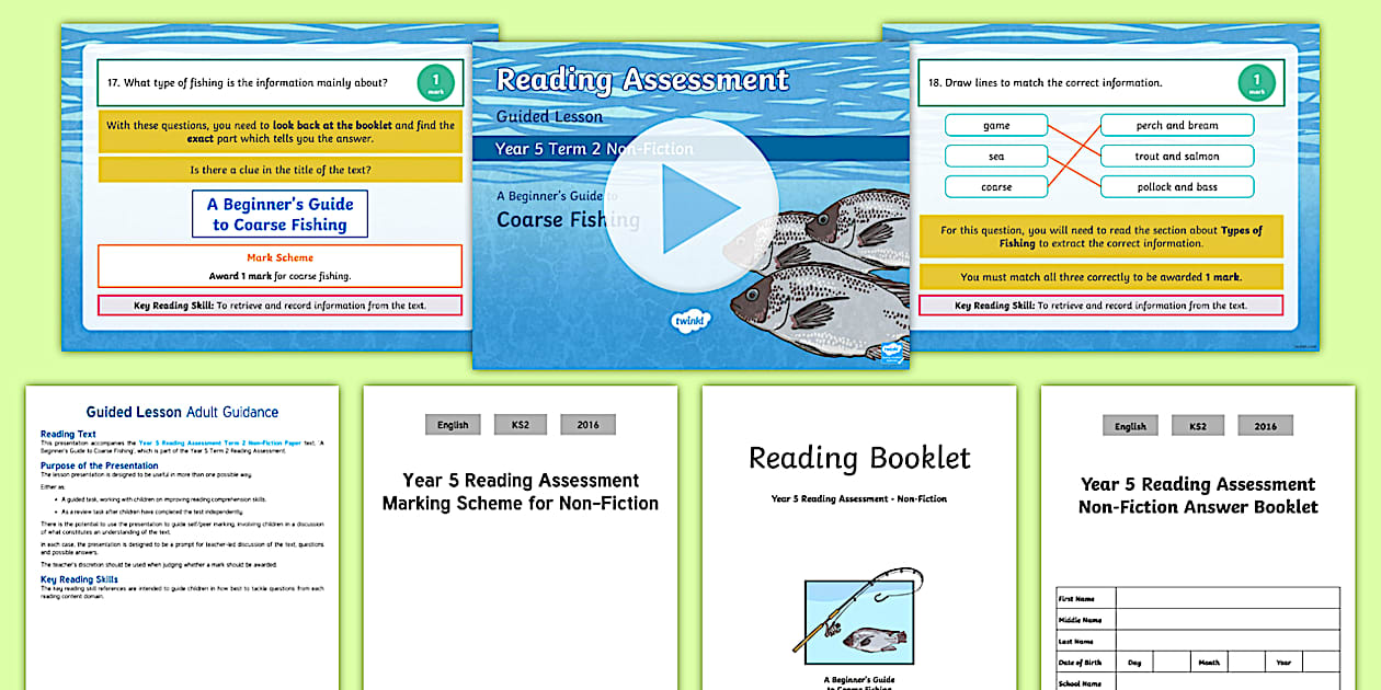 Year 5 Term 2 Non-Fiction Reading Assessment Guided Lesson Teaching Pack