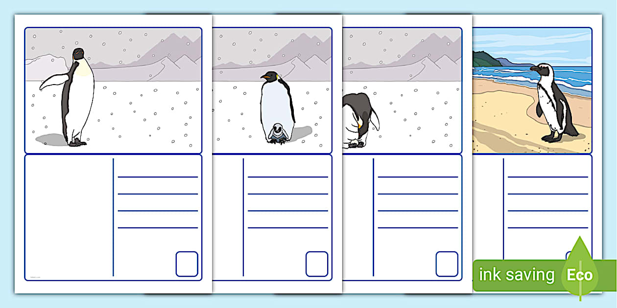 Penguin Postcards | Twinkl | KS1 | Stationery | Postcards