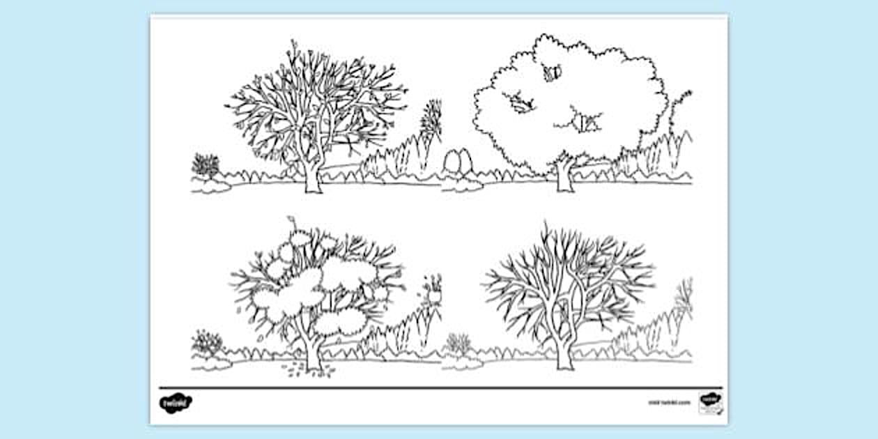 Seasons Colouring Sheet | Colouring Sheet | Primary Resource