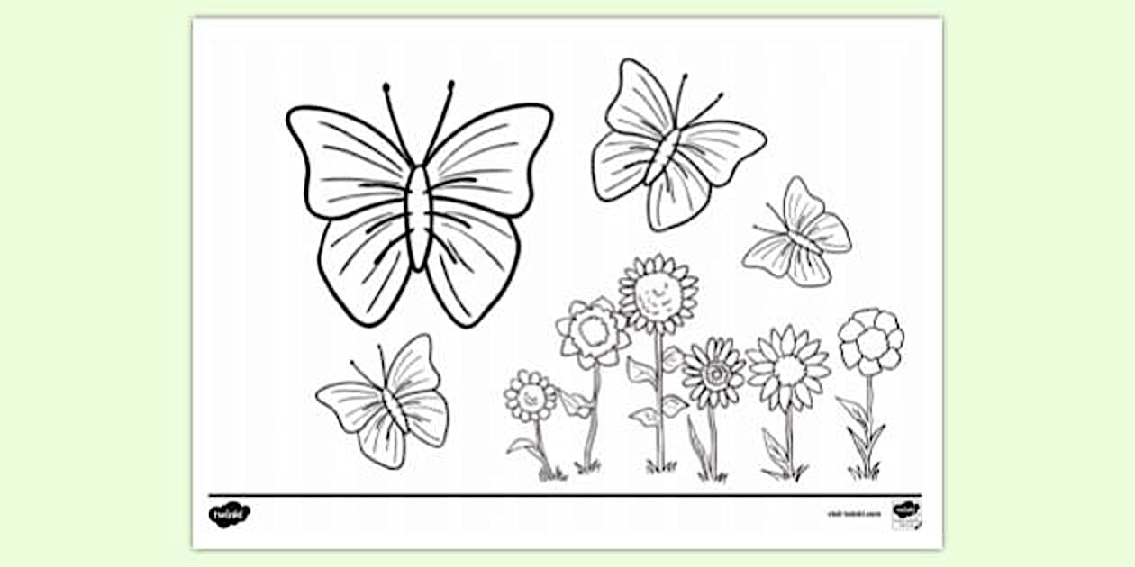 Butterfly Colouring for Kids | Colouring Sheets - Twinkl