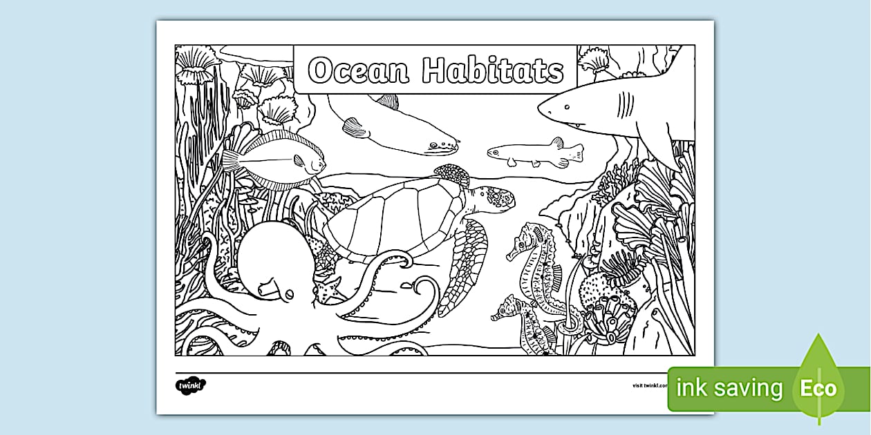 Ocean Habitats Colouring Page (teacher made) - Twinkl