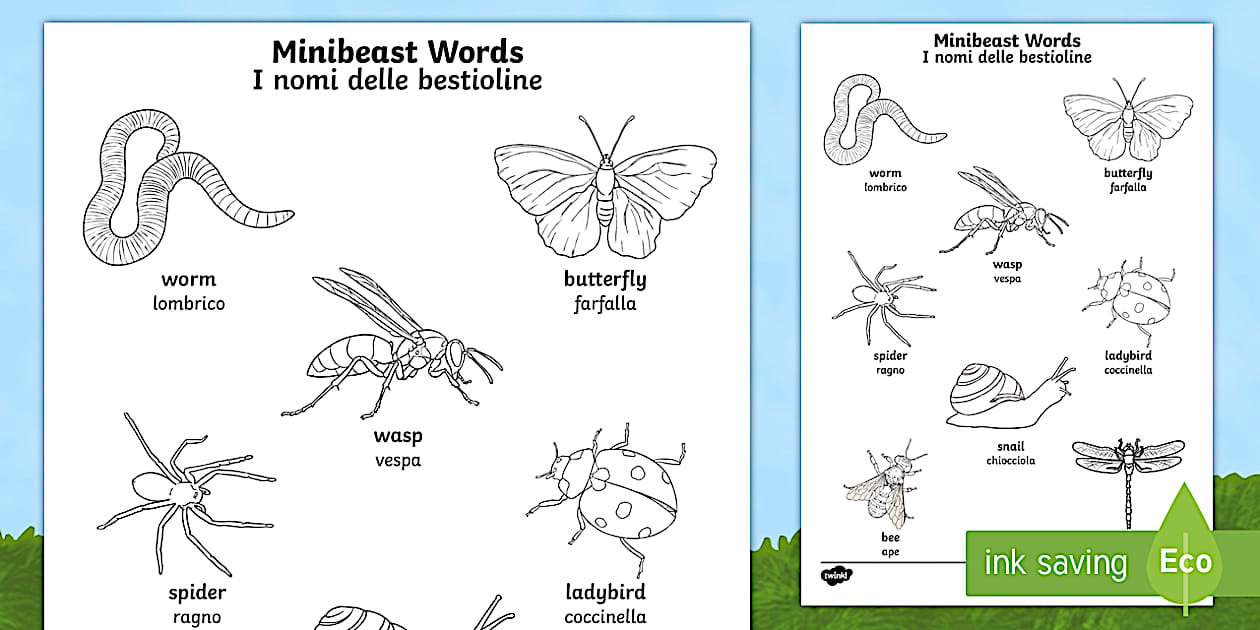 Minibeast Words Colouring Pages English/Italian - Minibeast Words Colouring