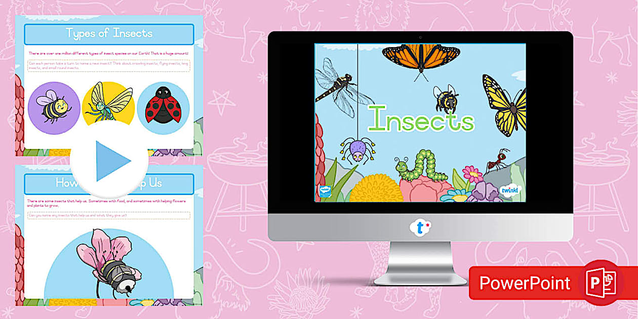 Grade 3 - Insects Discussion PowerPoint (teacher made)