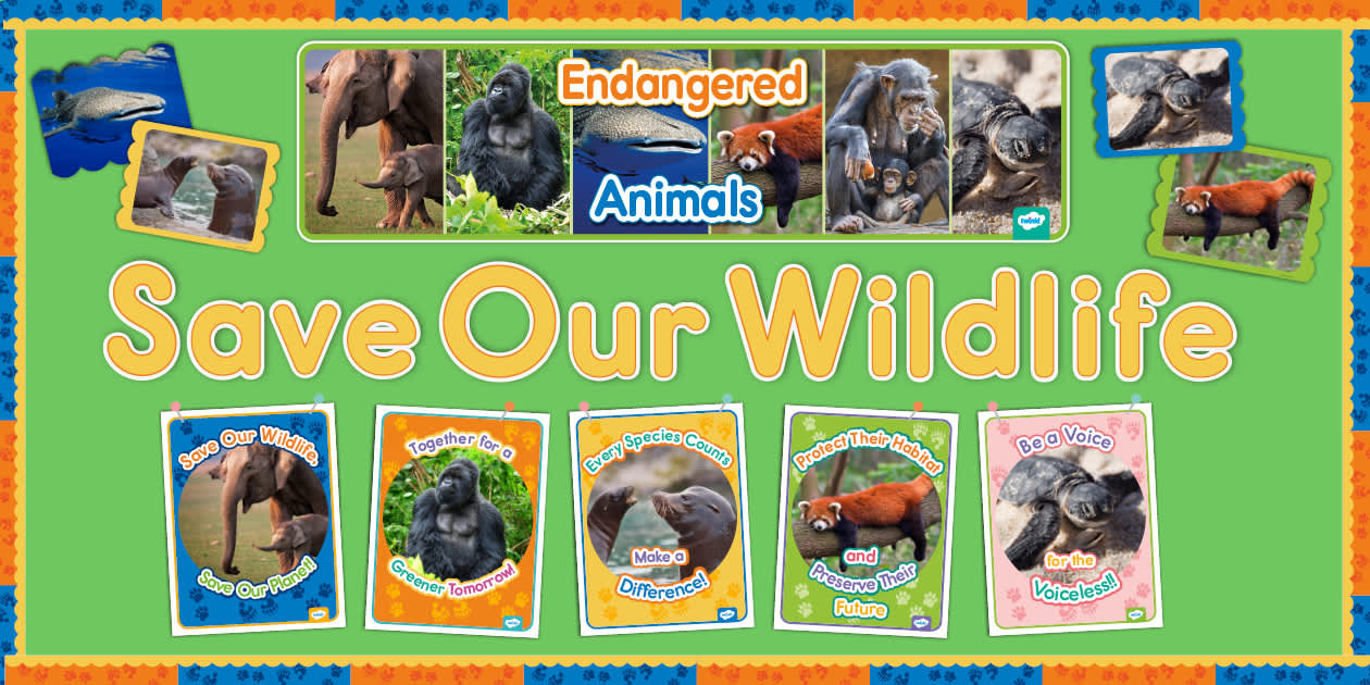 Endangered Animals Bulletin Board Pack (Teacher-Made)