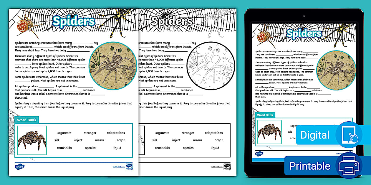 Third Grade Spiders Cloze Reading Worksheet (teacher made)