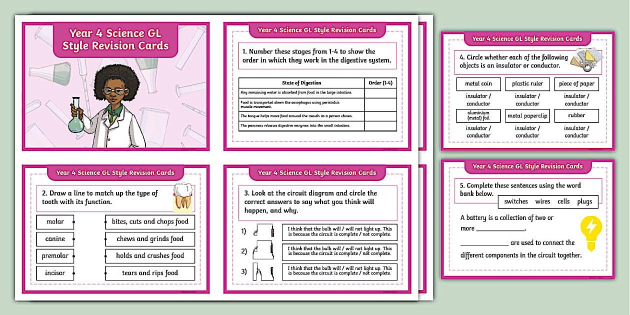 Year 4 Science GL Style Flashcards (teacher made) - Twinkl