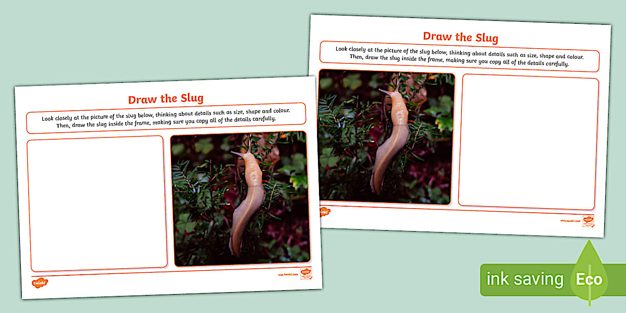 Slug Drawing Art Activity (Teacher-Made) - Twinkl