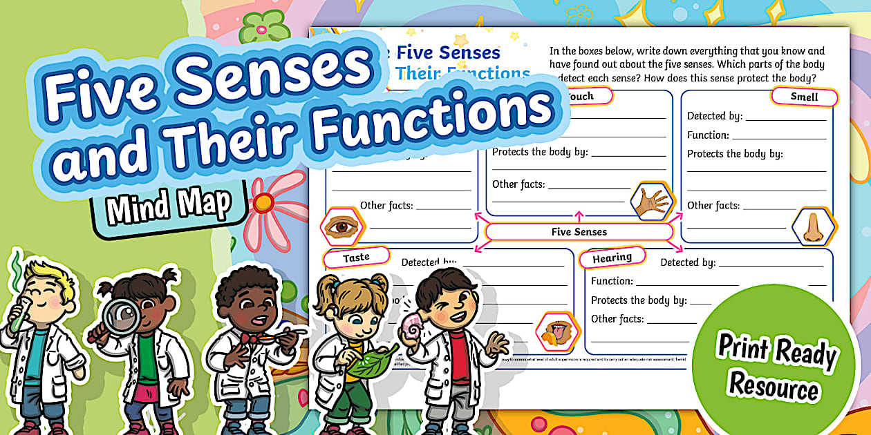 Five Senses and Their Functions Mind Map - Twinkl