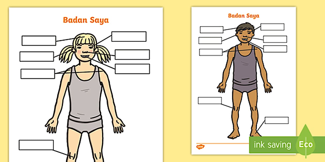 Head, Shoulders, Knees and Toes Labelling Activity Indonesian