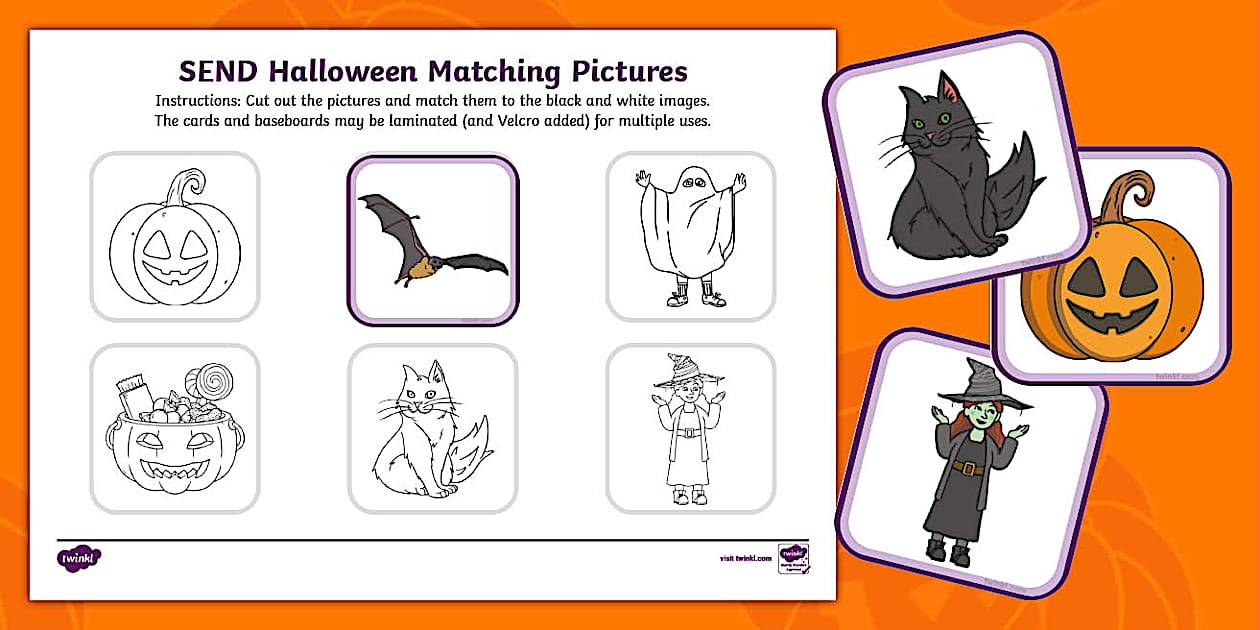 SEND Halloween Picture Matching Activity (teacher made)