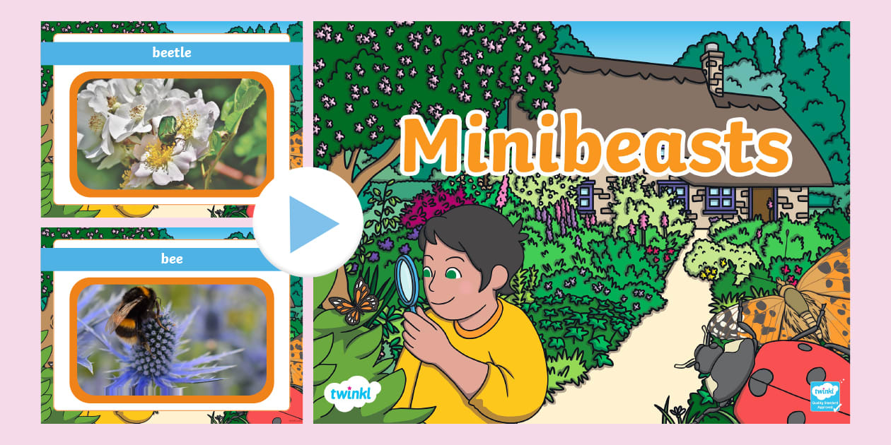 Minibeasts Photo PowerPoint - Twinkl