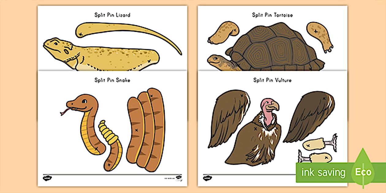 Desert Animals Split Pin Craft (teacher made) - Twinkl