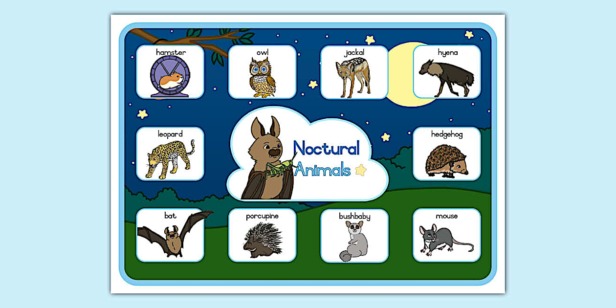 Grade 2 Life Skills Term 4 Life At Night - Word Mat - Twinkl