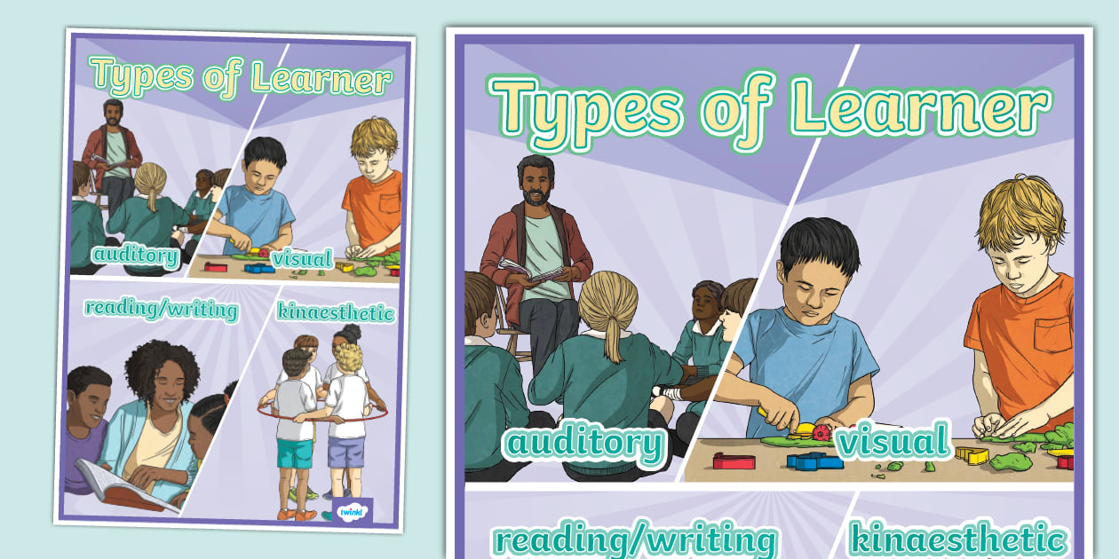 Types of Learner Display Poster (teacher made) - Twinkl