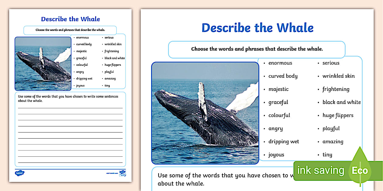 Describe the Whale Writing Activity