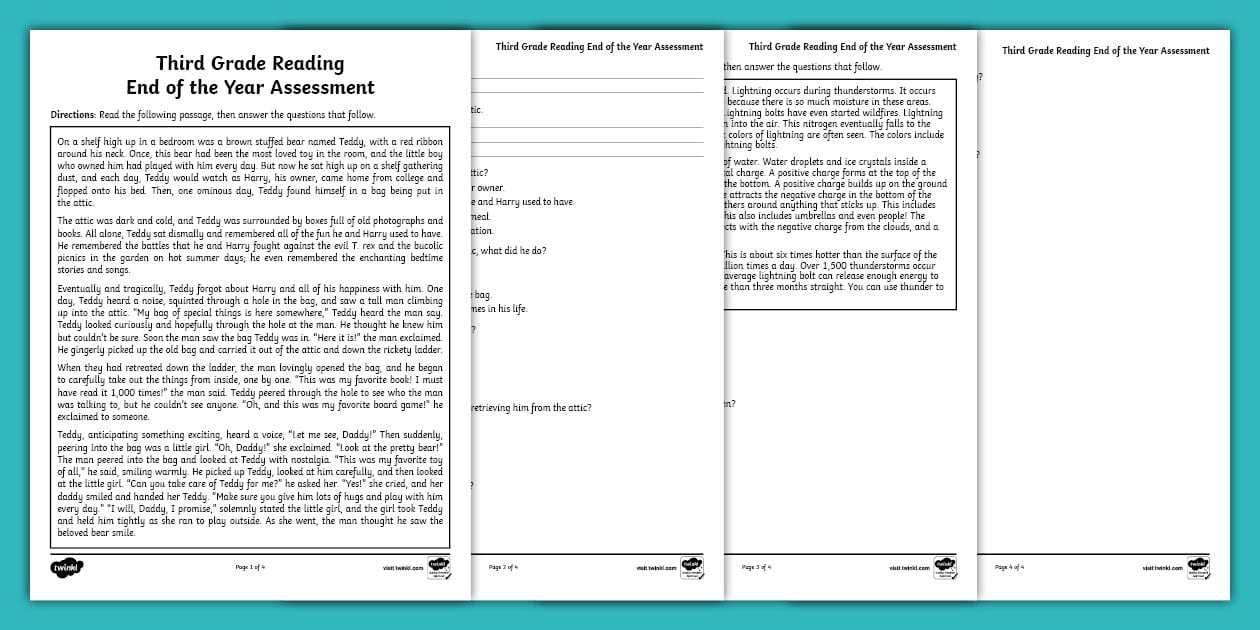 Third Grade End of the Year ELA Reading Assessment - Twinkl