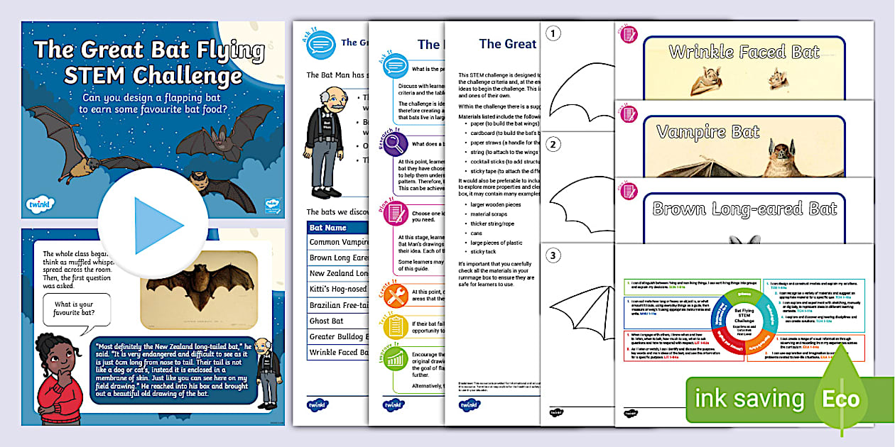 The Great Bat Flying STEM Challenge Pack (teacher made)