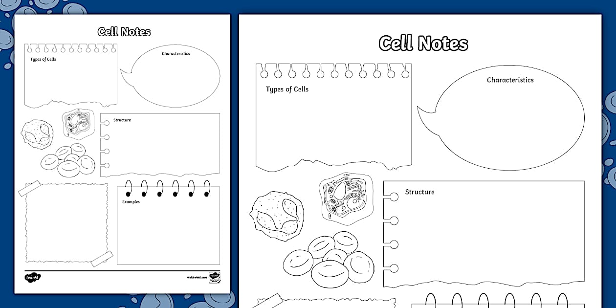 Cell Notes Doodle Organizer for 6th-8th Grade (teacher made)