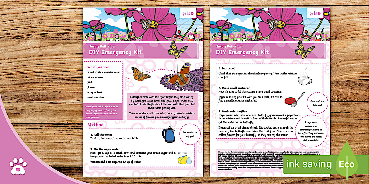 Saving Butterflies - DIY Emergency Kit - Butterfly - Pets