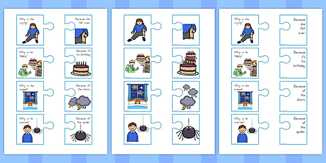 Why, Because Jigsaw (teacher made) - Twinkl