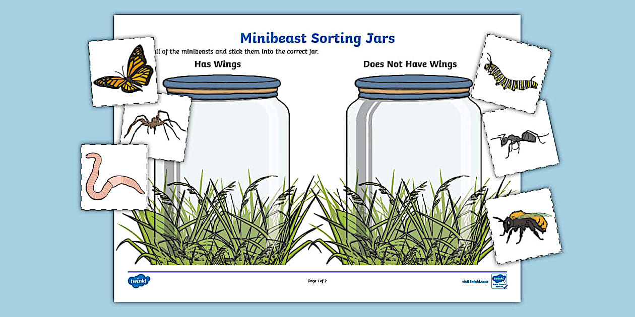Minibeast Sorting Jars FS (teacher made) - Twinkl