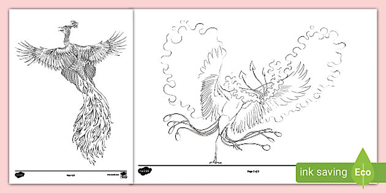 Phoenix Colouring Page -Primary Resources - Twinkl