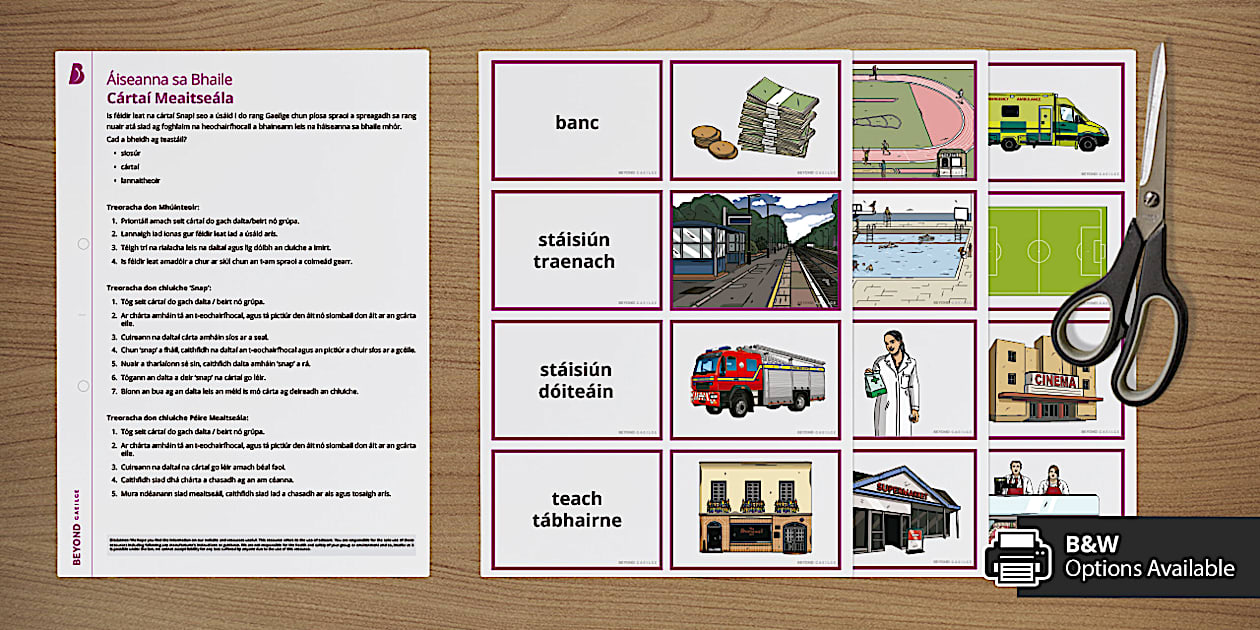 Áiseanna sa Bhaile (Cártaí Meaitseála) - Twinkl