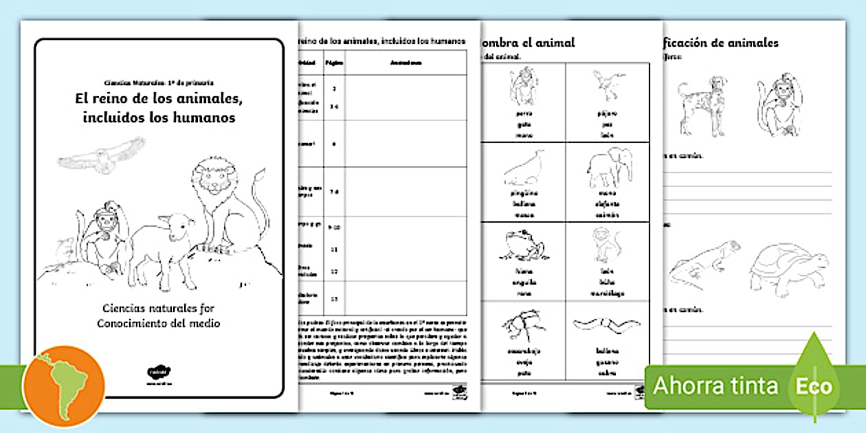 Ficha de actividad: Cuadernillo de animales- Guía de trabajo