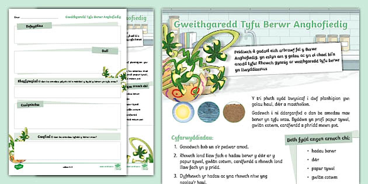 Gweithgaredd Tyfu Berwr Anghofiedig (teacher made) - Twinkl