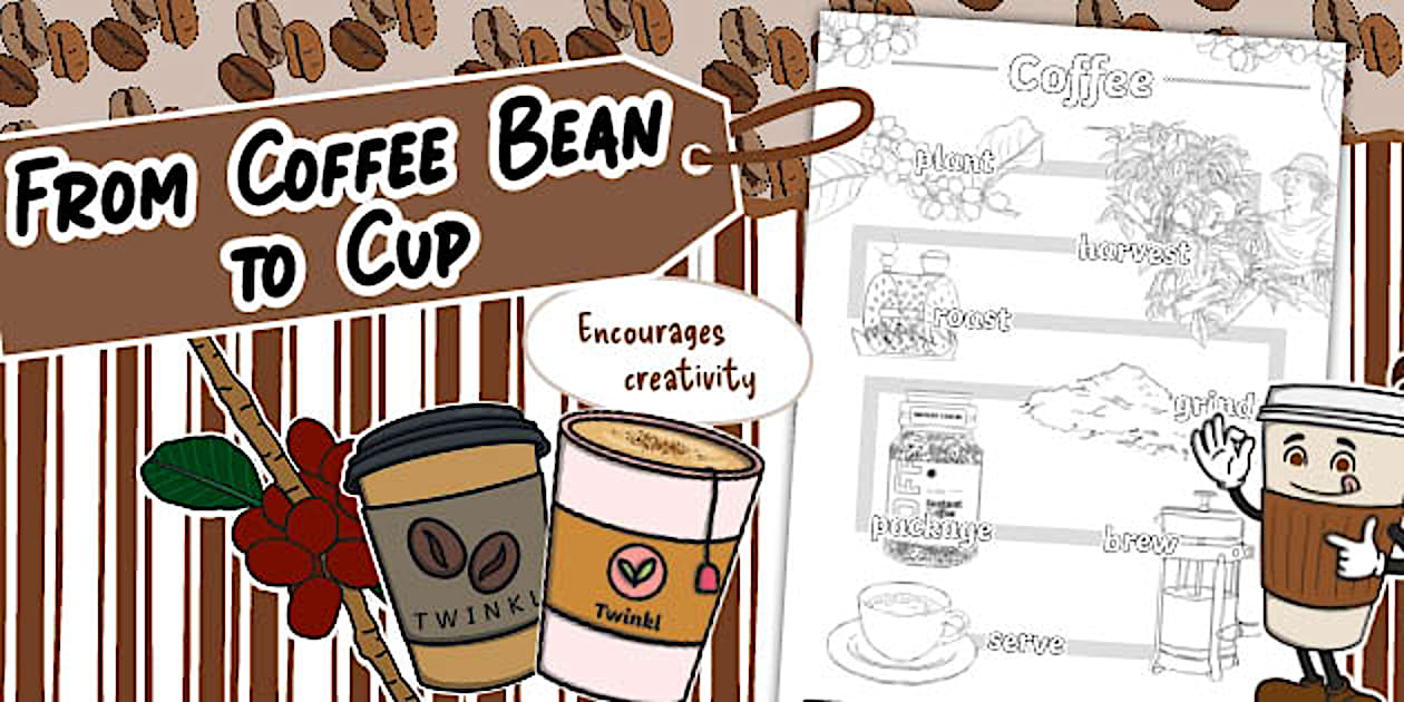 From Coffee Bean to Cup Colouring Sheet - Twinkl Australia