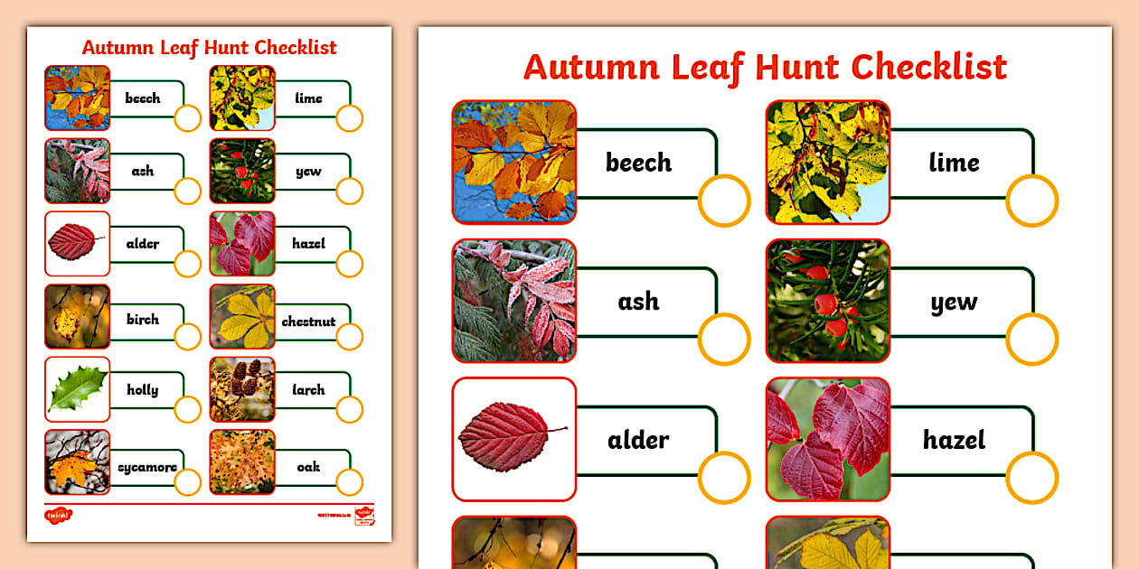 Autumn Leaves Photo Checklist - Twinkl - KS1 (teacher made)