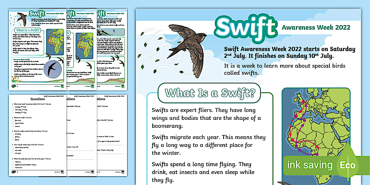 Lower Ability KS1 Swift Awareness Week Reading Comprehension Activity