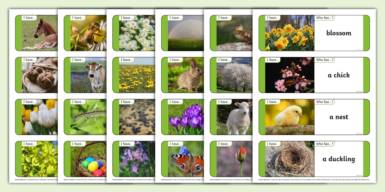 Spring-Themed Loop Cards (teacher made) - Twinkl