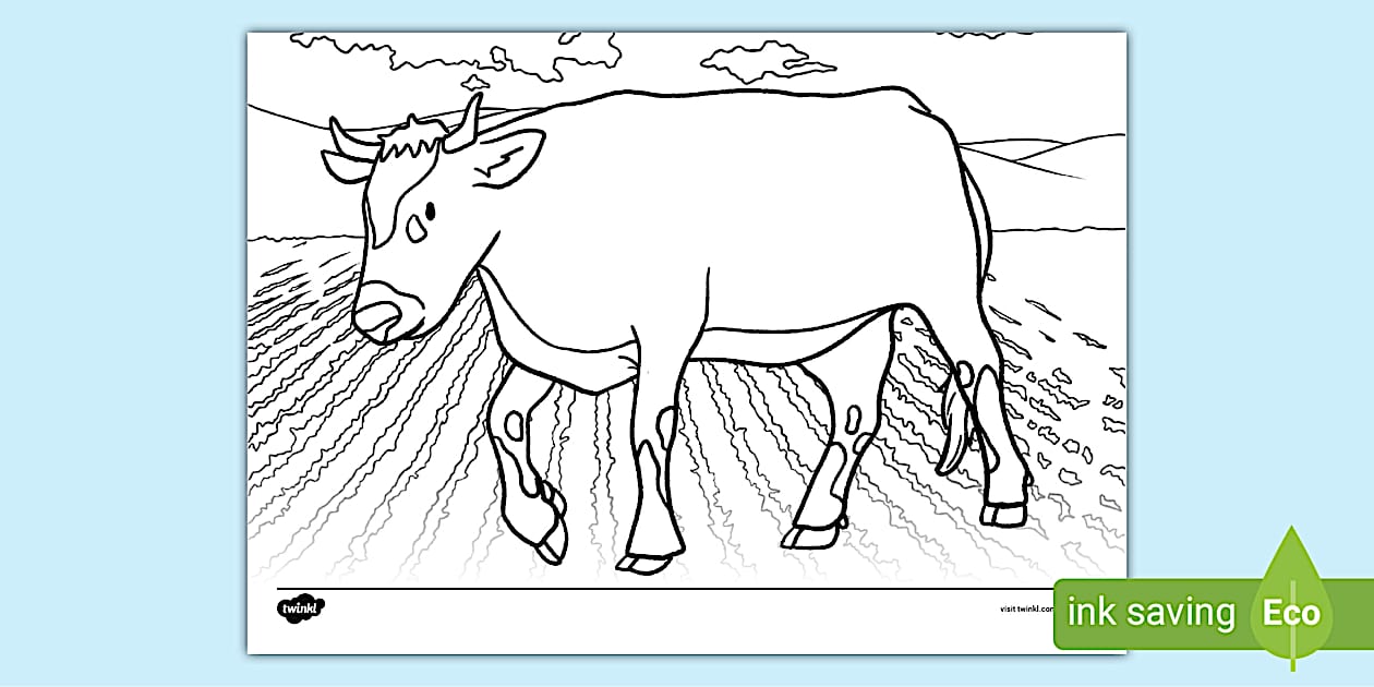 Ox Picture Colouring Page (teacher made) - Twinkl