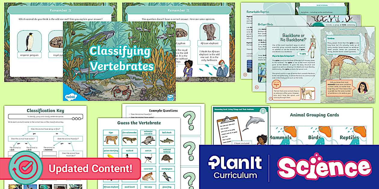 Science: LTaTH: Classifying Vertebrates Year 4 Lesson 2