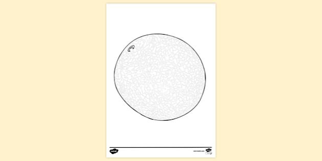 Melon Colouring | Colouring Sheets (teacher made) - Twinkl