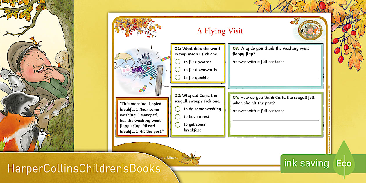 FREE! - A Flying Visit: Reading Comprehension Mat - Twinkl