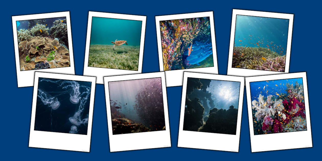 Under the Sea Instant Photo Style Display Images - Twinkl