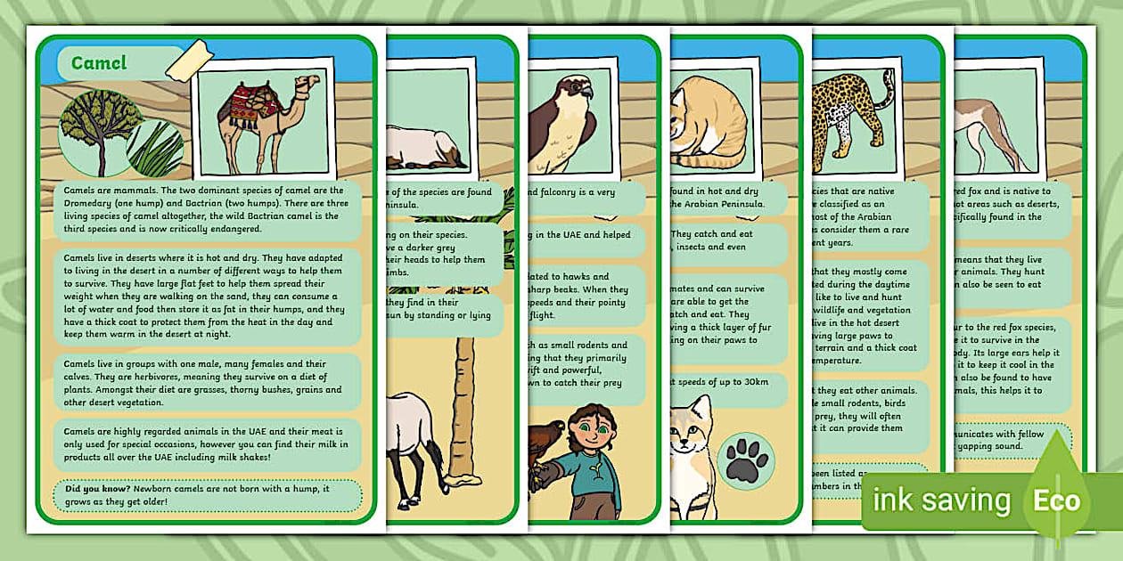 UAE Animals Fact File Posters (teacher made) - Twinkl