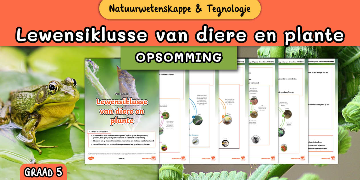 Graad 5 Natuurwetenskappe en Tegnologie - Kwartaal 1 - Lewensiklusse