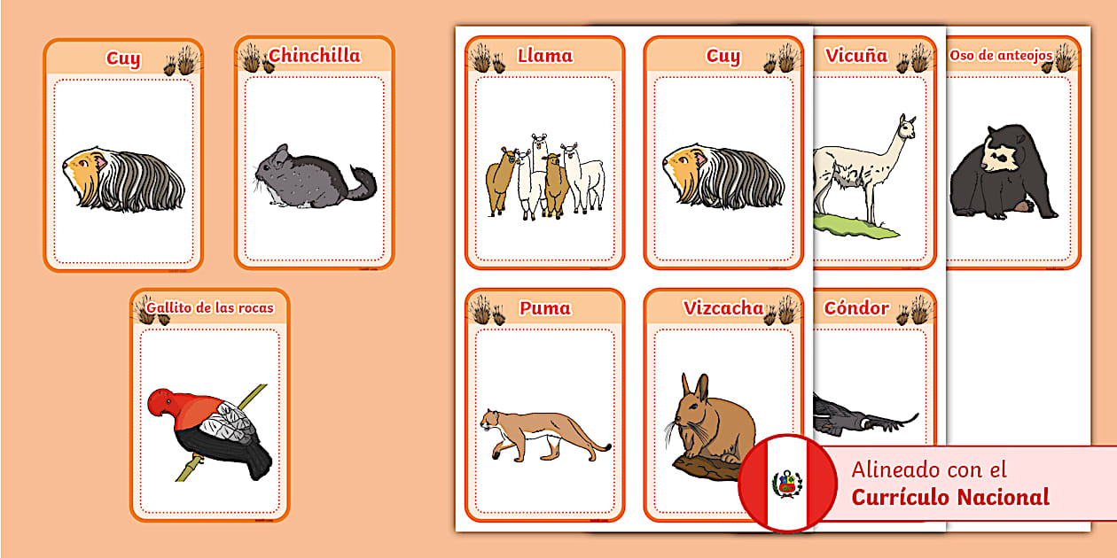 Tarjetas educativas: Animales de la sierra (Perú) - Twinkl