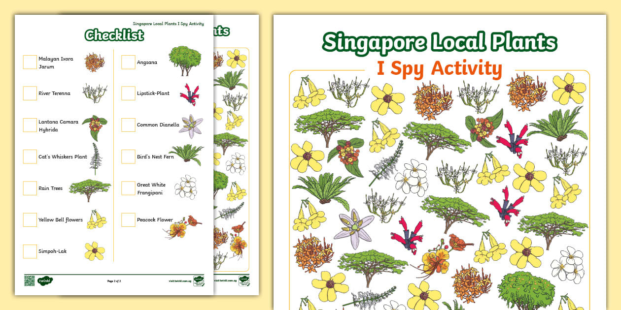 Singapore Local Plants I Spy Activity
