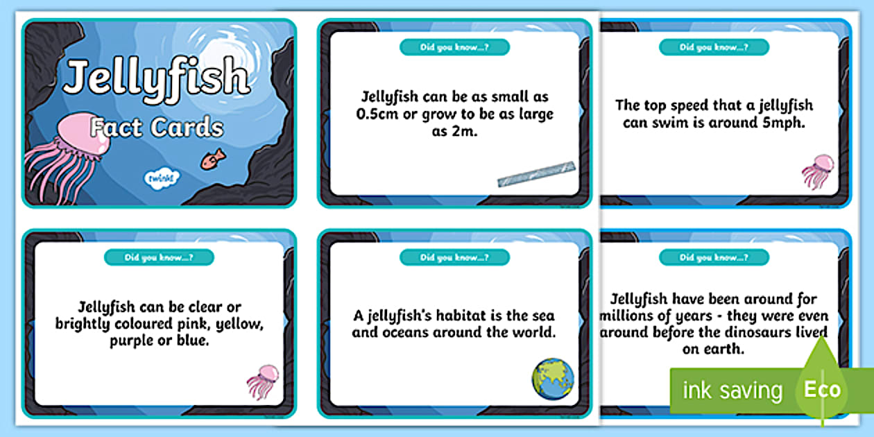 Jellyfish Fact Cards (teacher made) - Twinkl