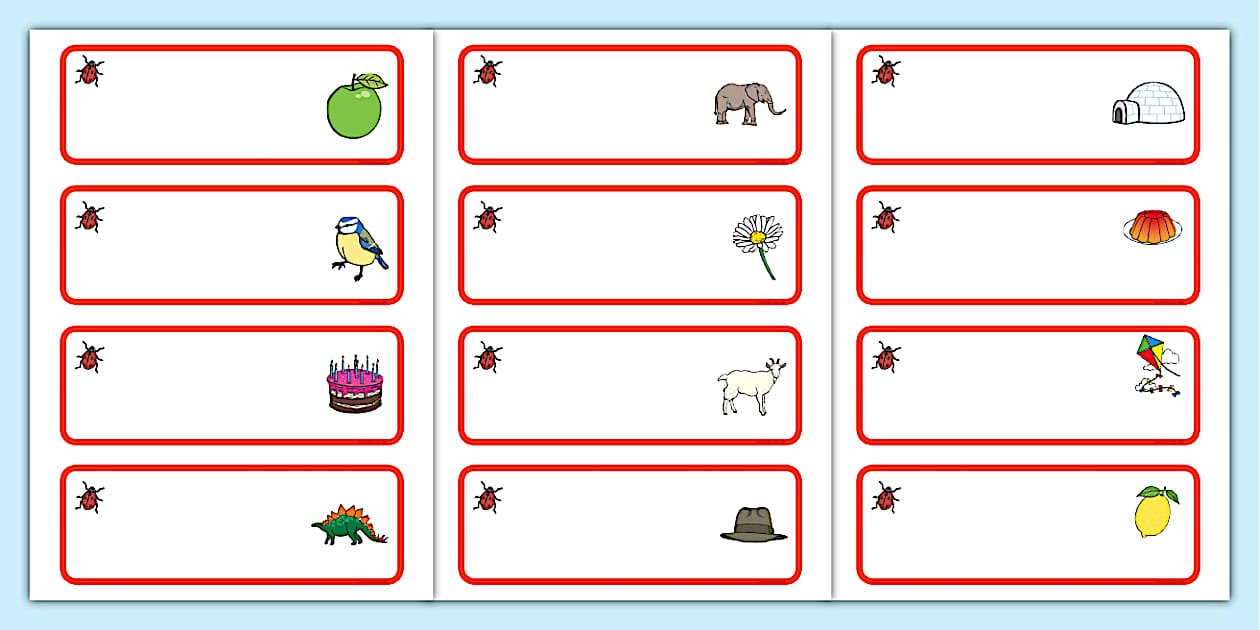 Ladybird Themed Editable Drawer-Peg-Name Labels - Twinkl