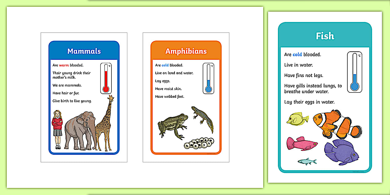Animal Group IKEA Tolsby/Fiestad Frame-Australia - Animal Groups Display