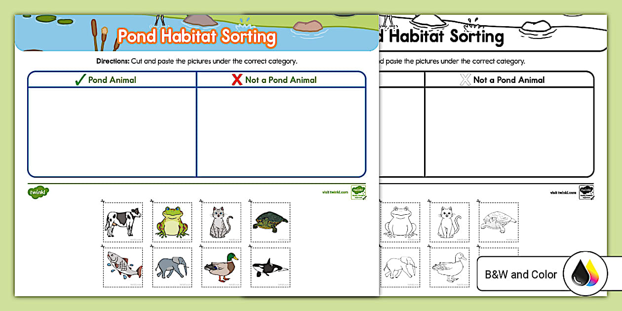 Pond Habitat Sorting Worksheet (teacher made) - Twinkl
